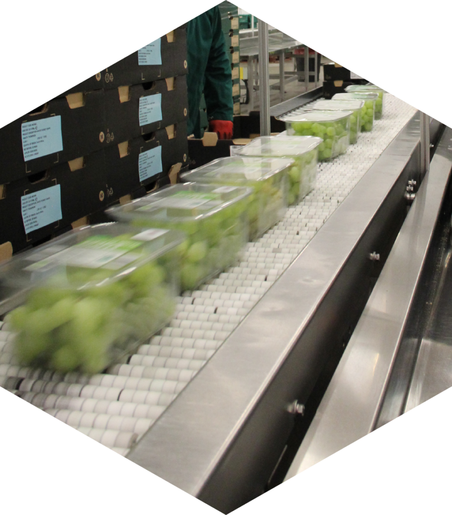 Orchard Place Packers, multi-format packing