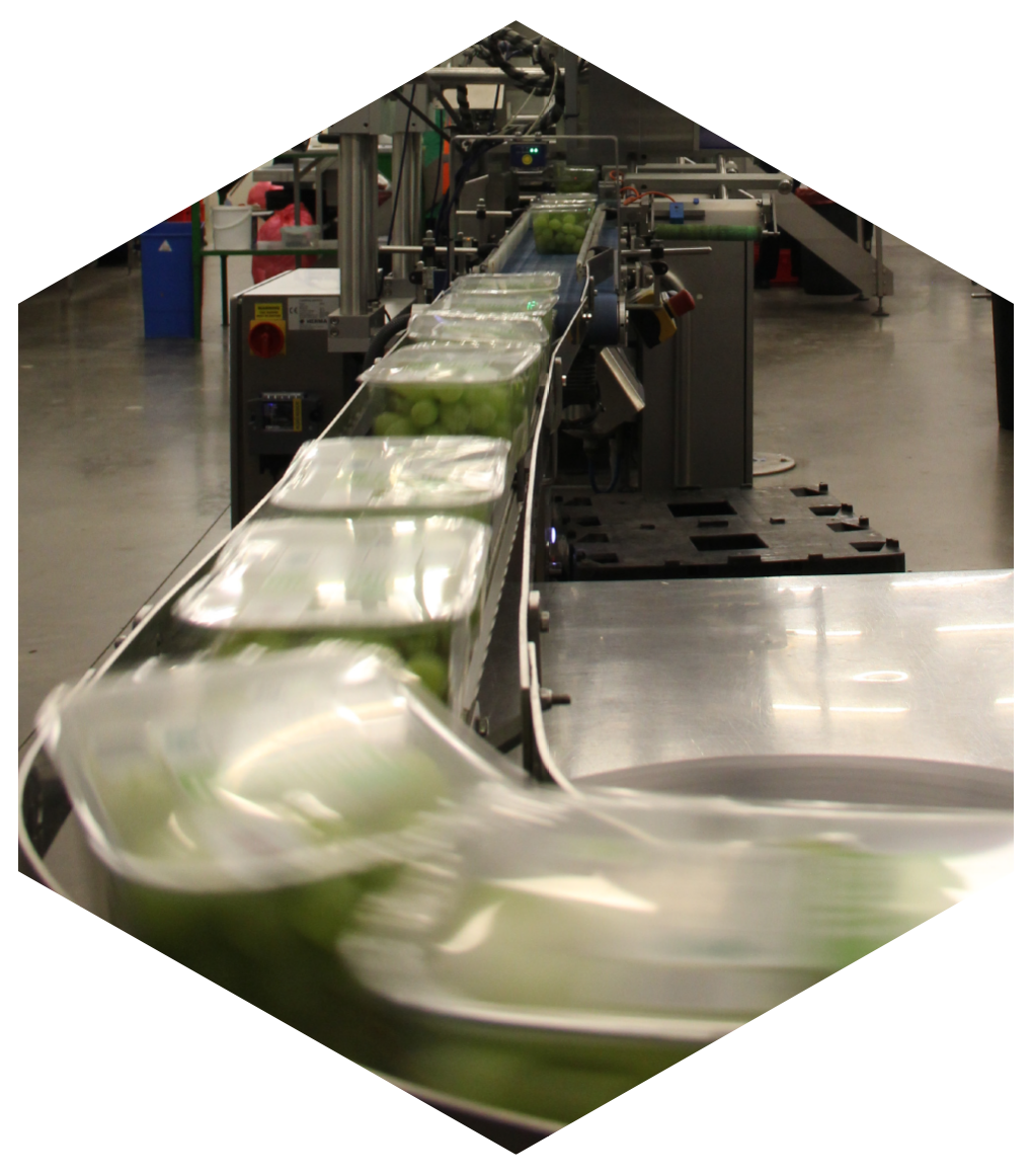 Orchard Place Packers, multi-format packing