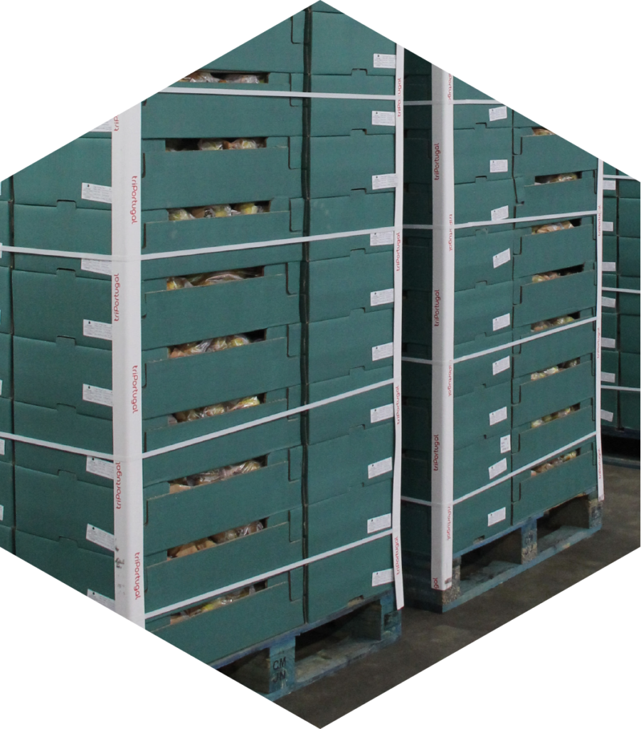 Orchard Place Packers, multi-format packing